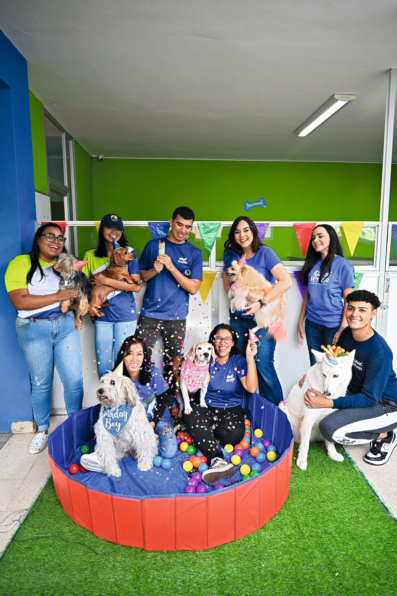 WOOF HOUSE
