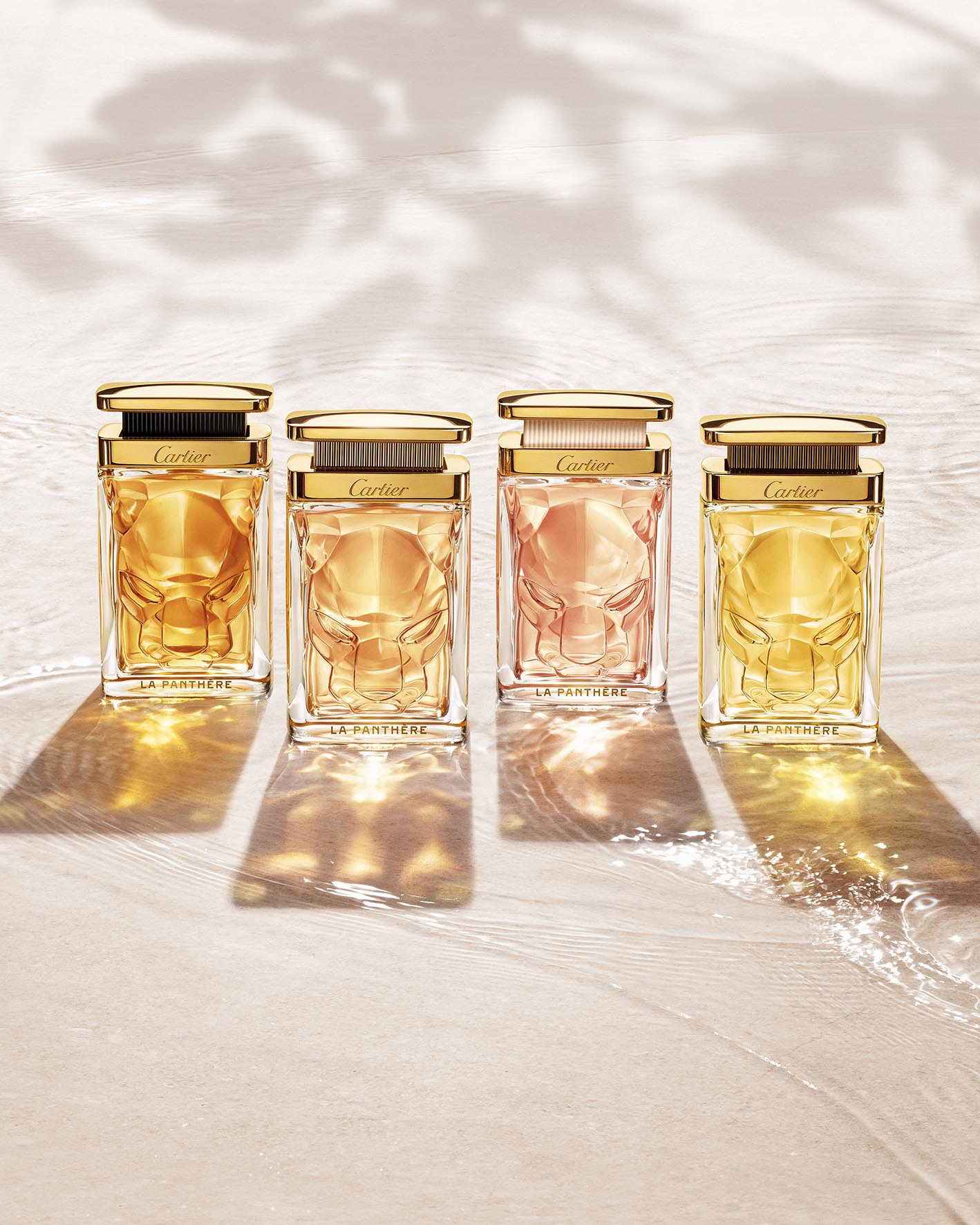 LA PANTHÈRE ELIXIR, UN ACORDE ADICTIVO